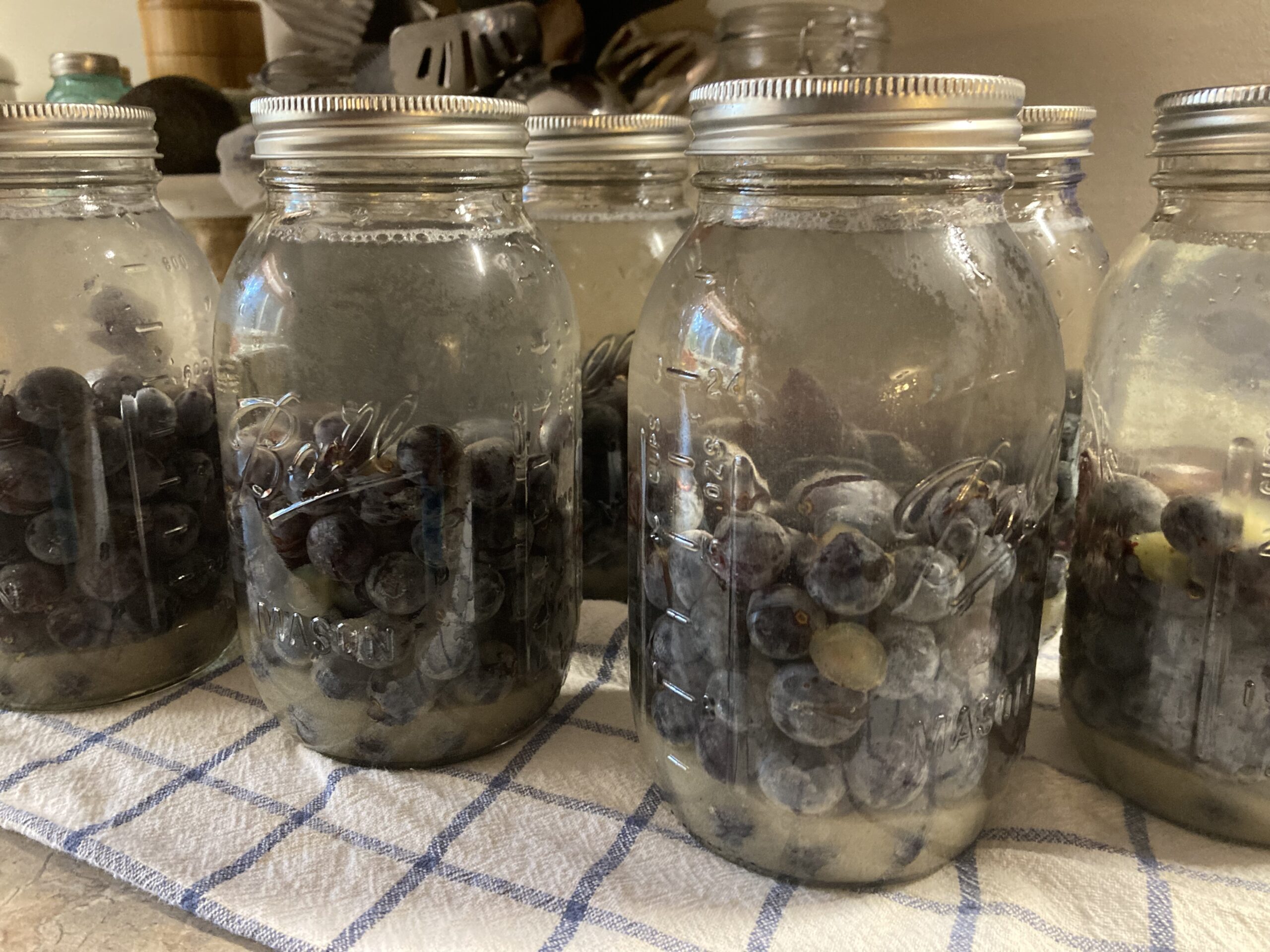 How to Make the Easiest Canned Grape Juice - Our Future Homestead