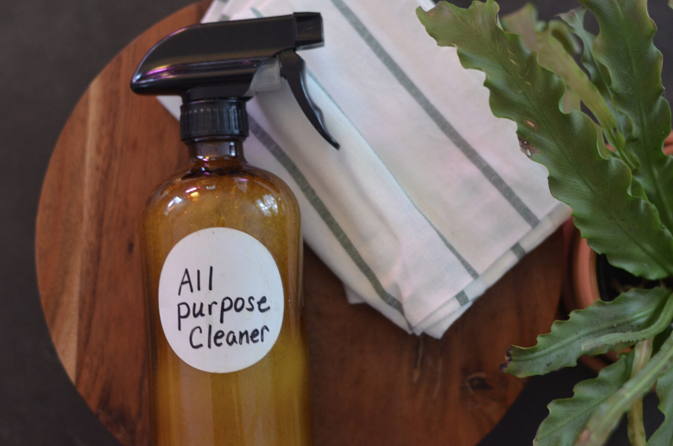 How to Make a Great All-Purpose Cleaner - Our Future Homestead